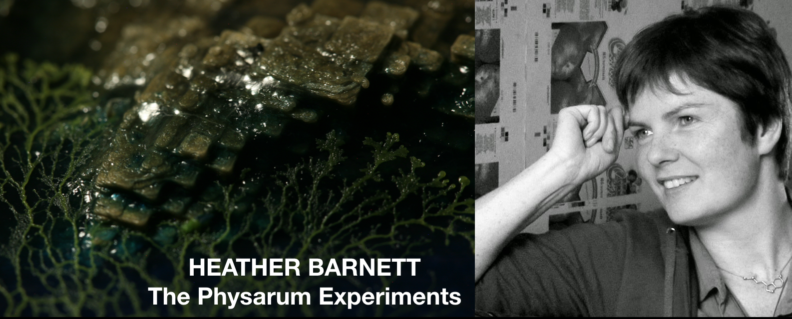 Artist's Talk with Heather Barnett: Slime Mold as Material, Model and ...